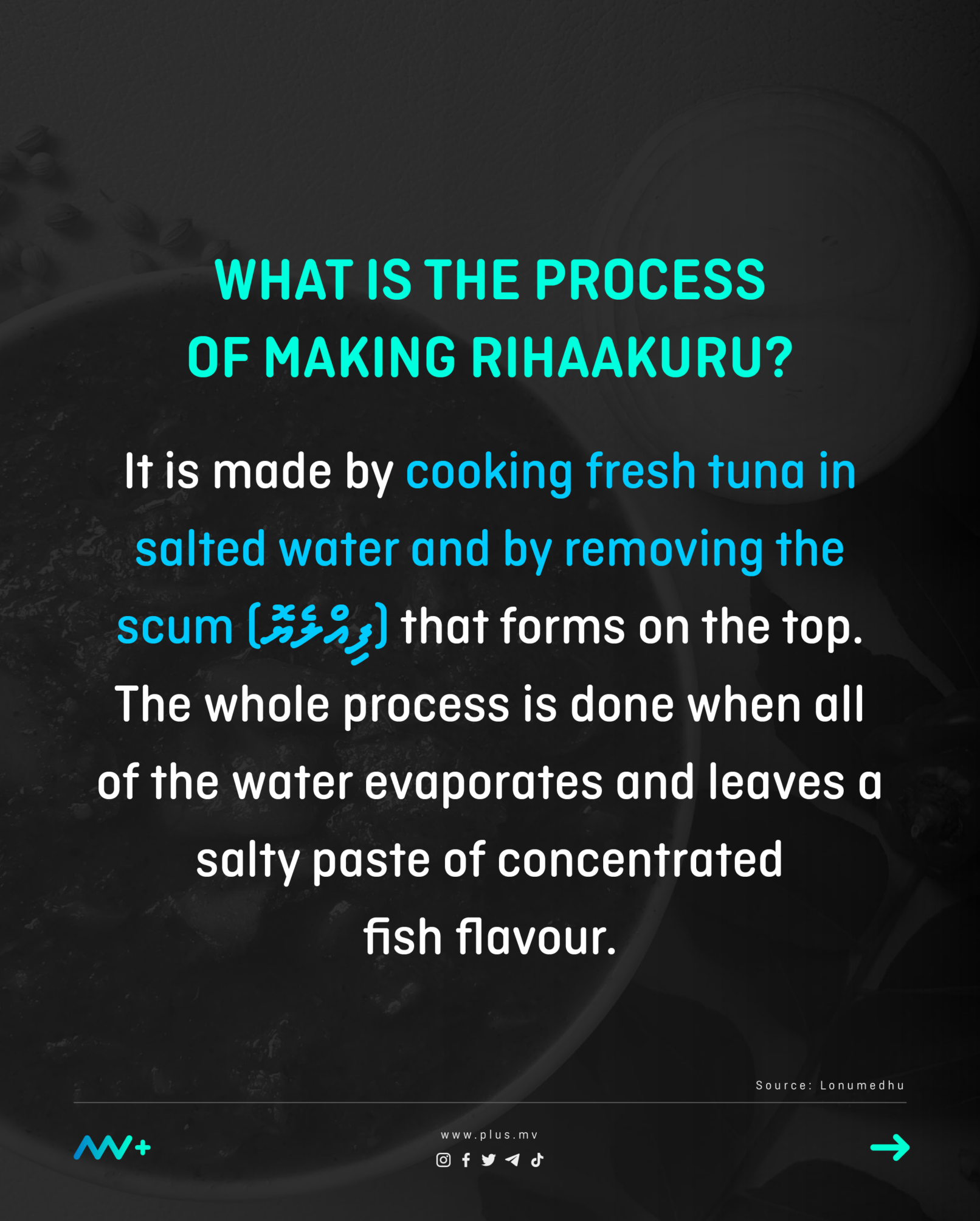 The Process of Making Rihaakuru — The Best of Maldivian Cuisine – MV+