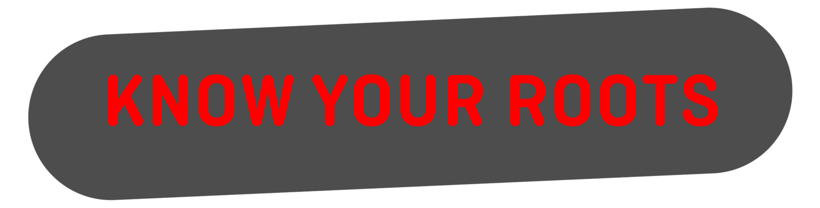 Know-your-roots – MV+