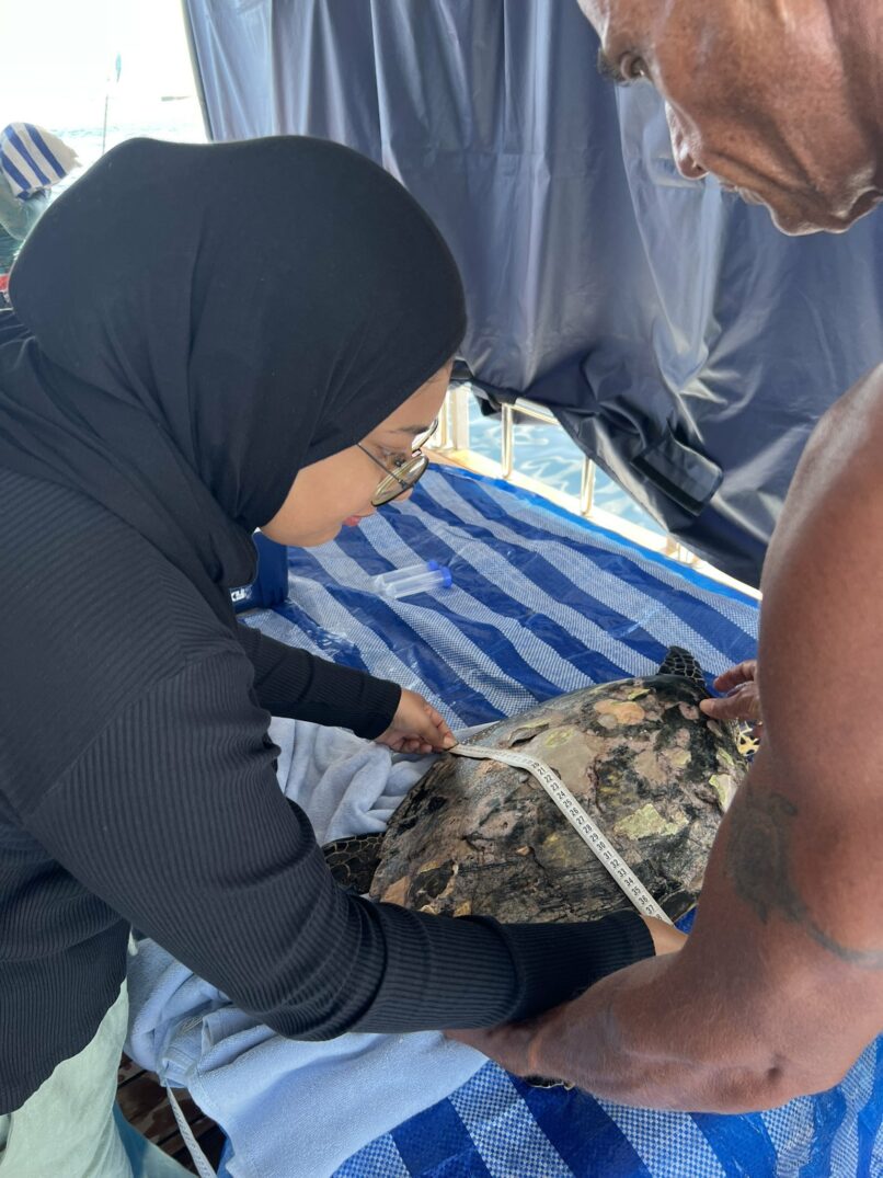 EPA and Olive Ridley Project Collaborate for Sea Turtle Research ...