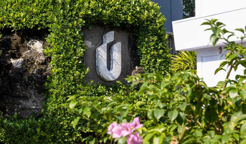 Urbanco Launches Community Urban Farming Project 2 – MV+