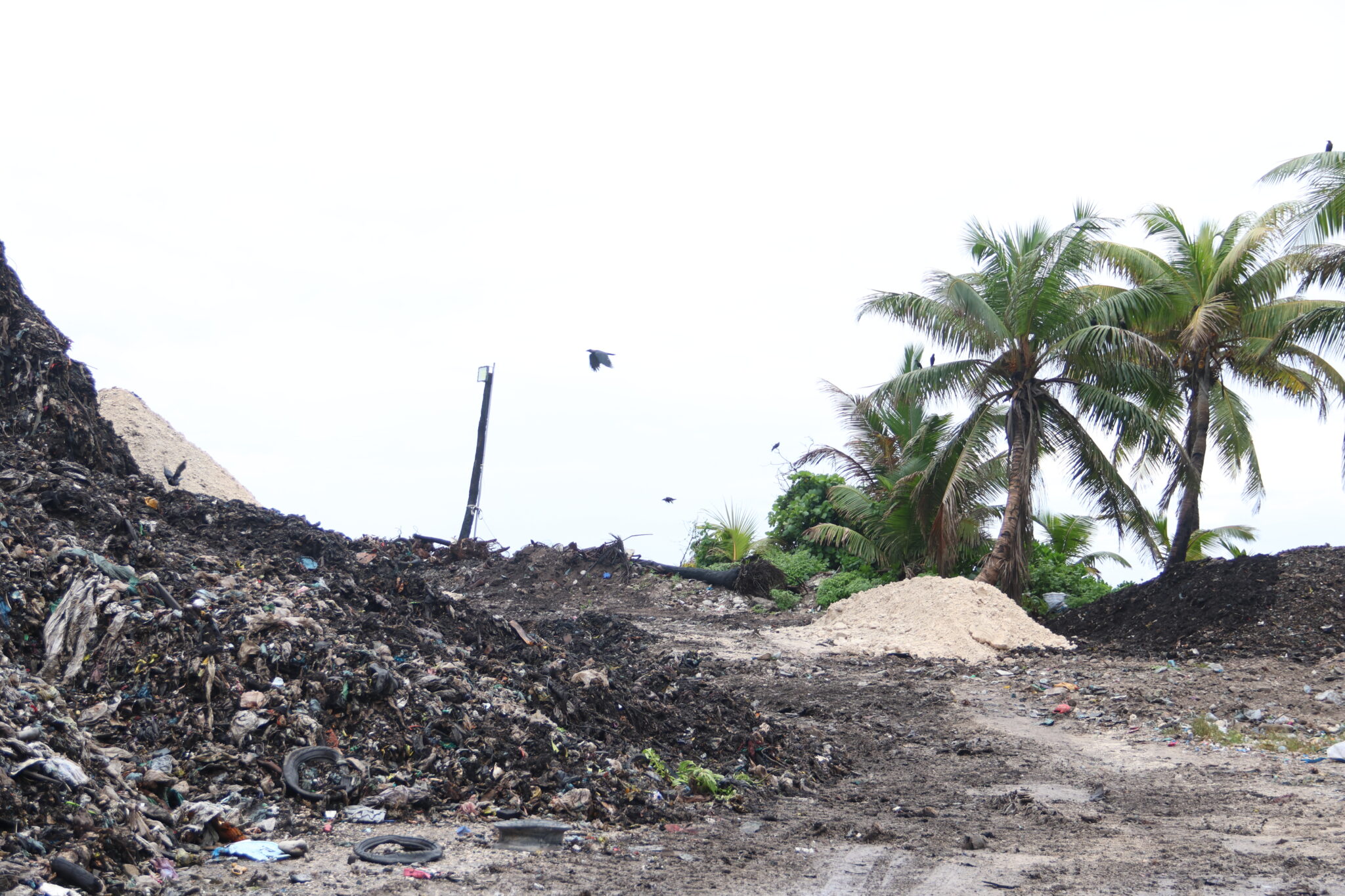 Waste Woes in Fuvahmulah: WAMCO Faces Allegations of Burying Waste – MV+