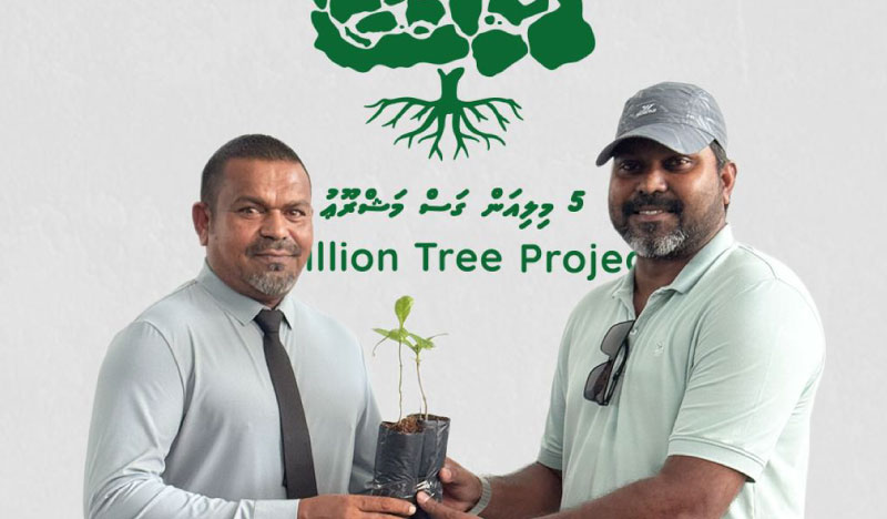 Gov’t Begins Distribution of Teak Plants to Resorts Under 5 Million ...