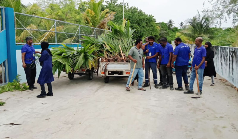 STELCO Launches Weekend Tree-Planting Campaign in Support of National ...
