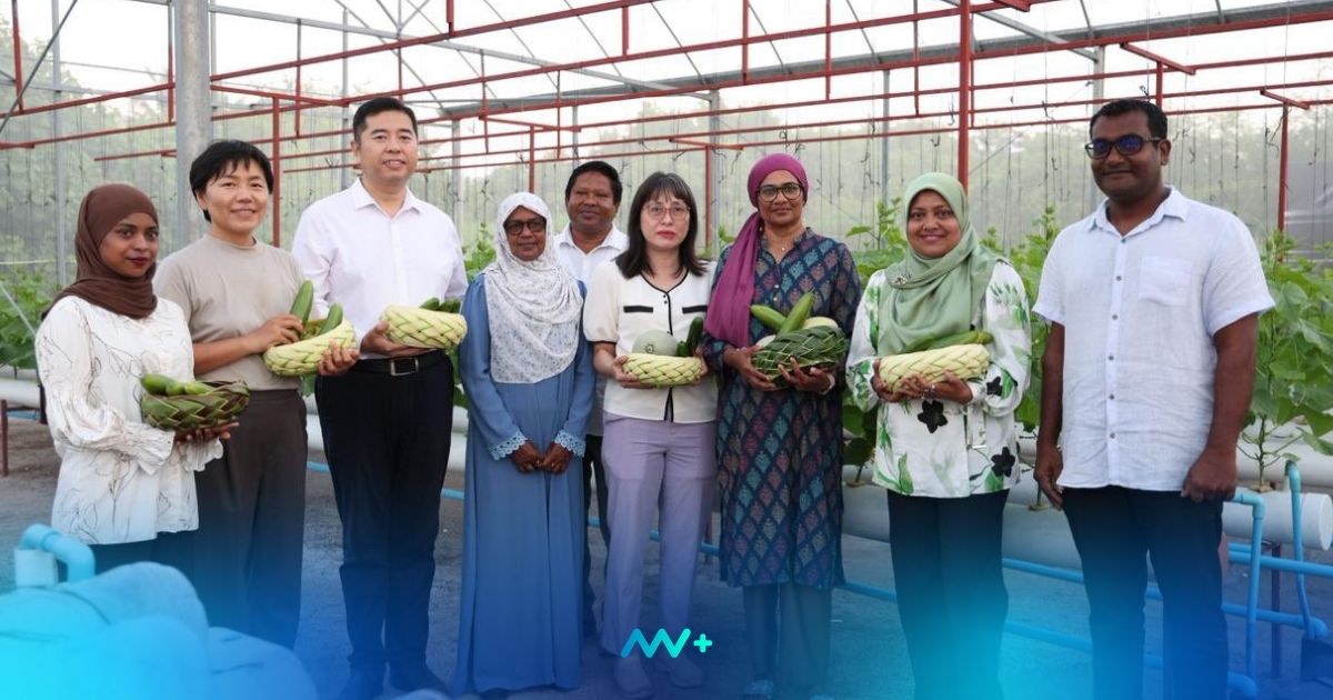 Vaadhoo Green Farm Opens as Model for Sustainable Agriculture – MV+